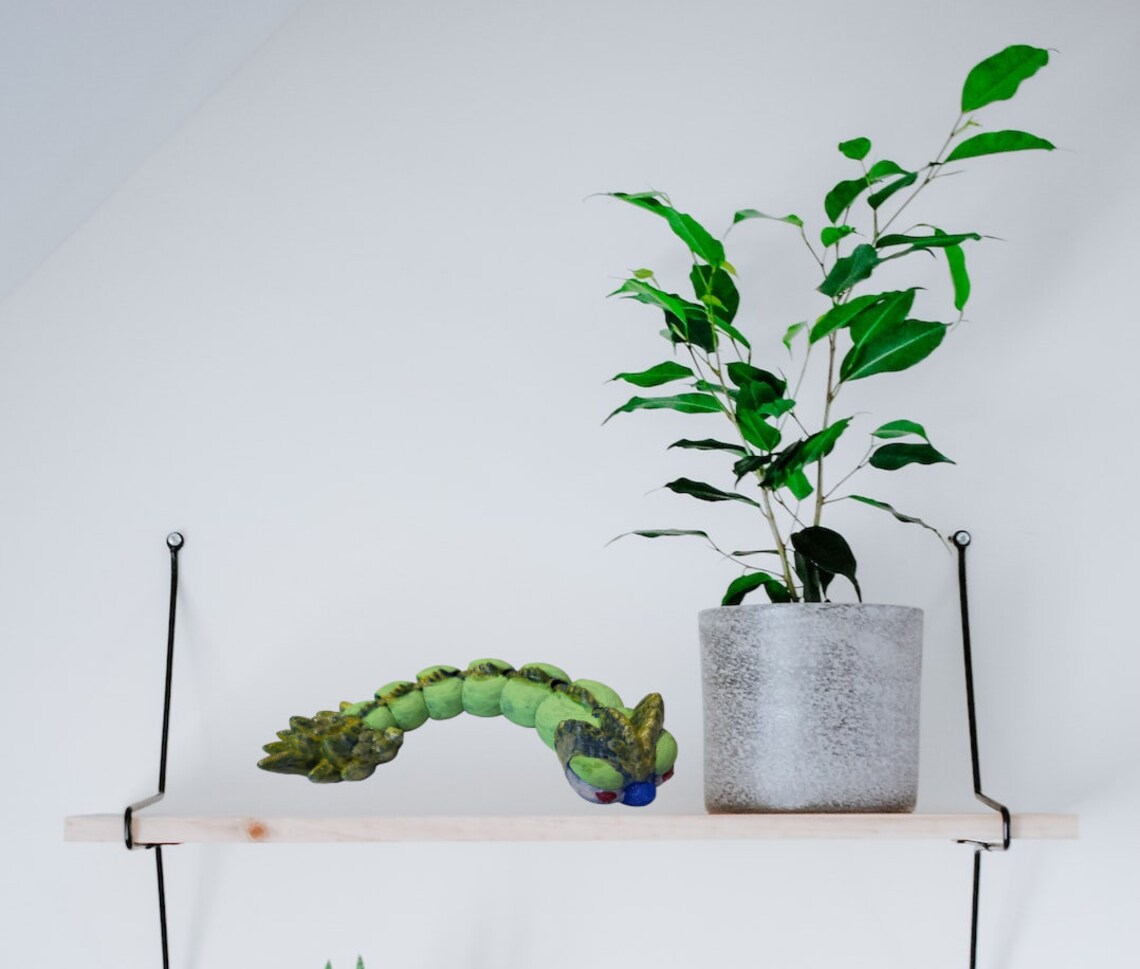 3D Printed Articulate Slinky Dragon - Etsy