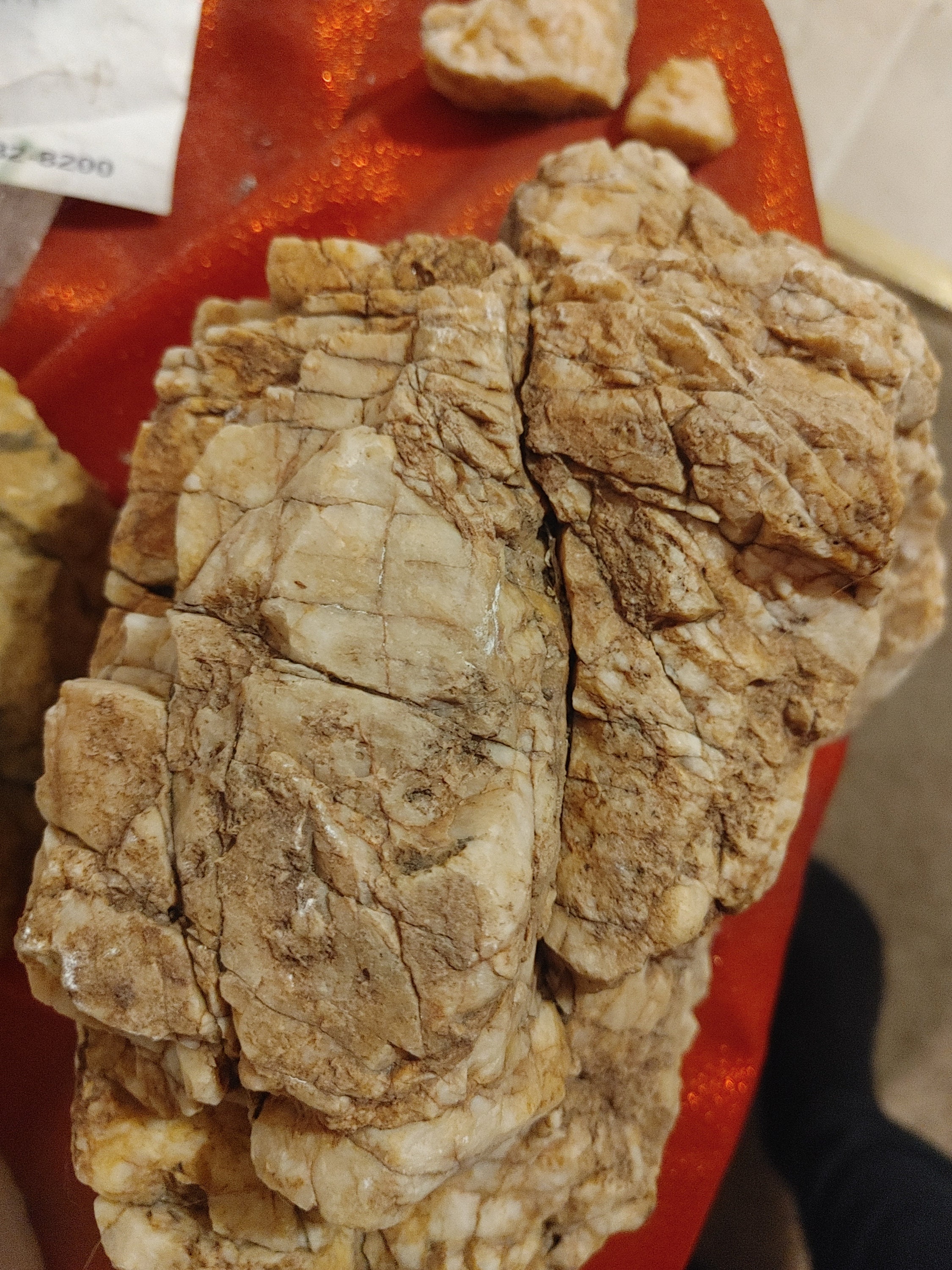 Milky Leopard Quartz Healing Rare Raw Mini Boulder Geo Cluster Yellow ...