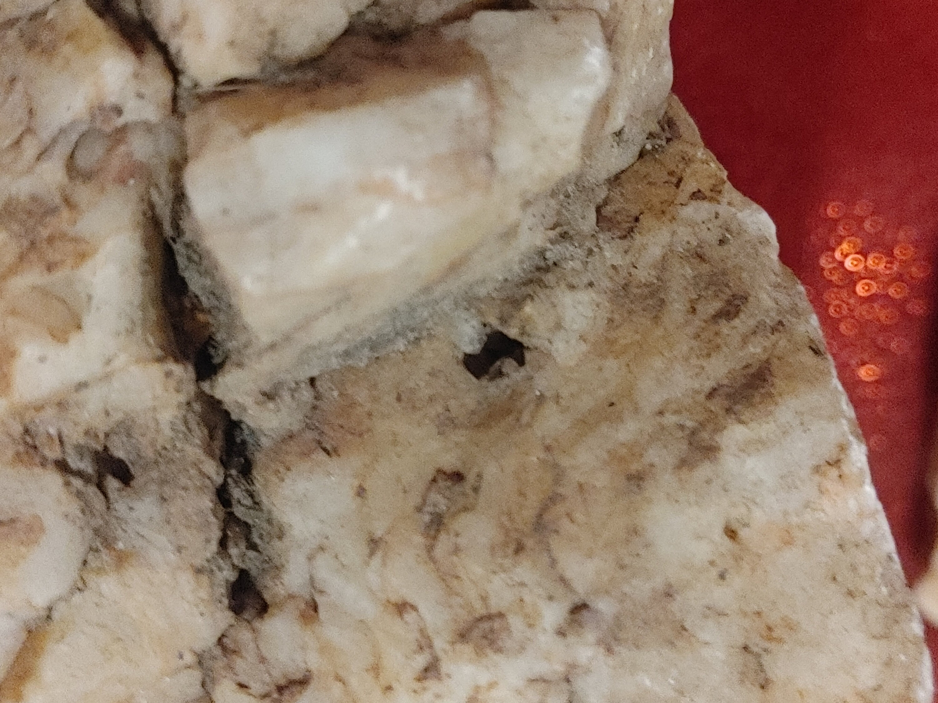Milky Leopard Quartz Healing Rare Raw Mini Boulder Geo Cluster Yellow ...