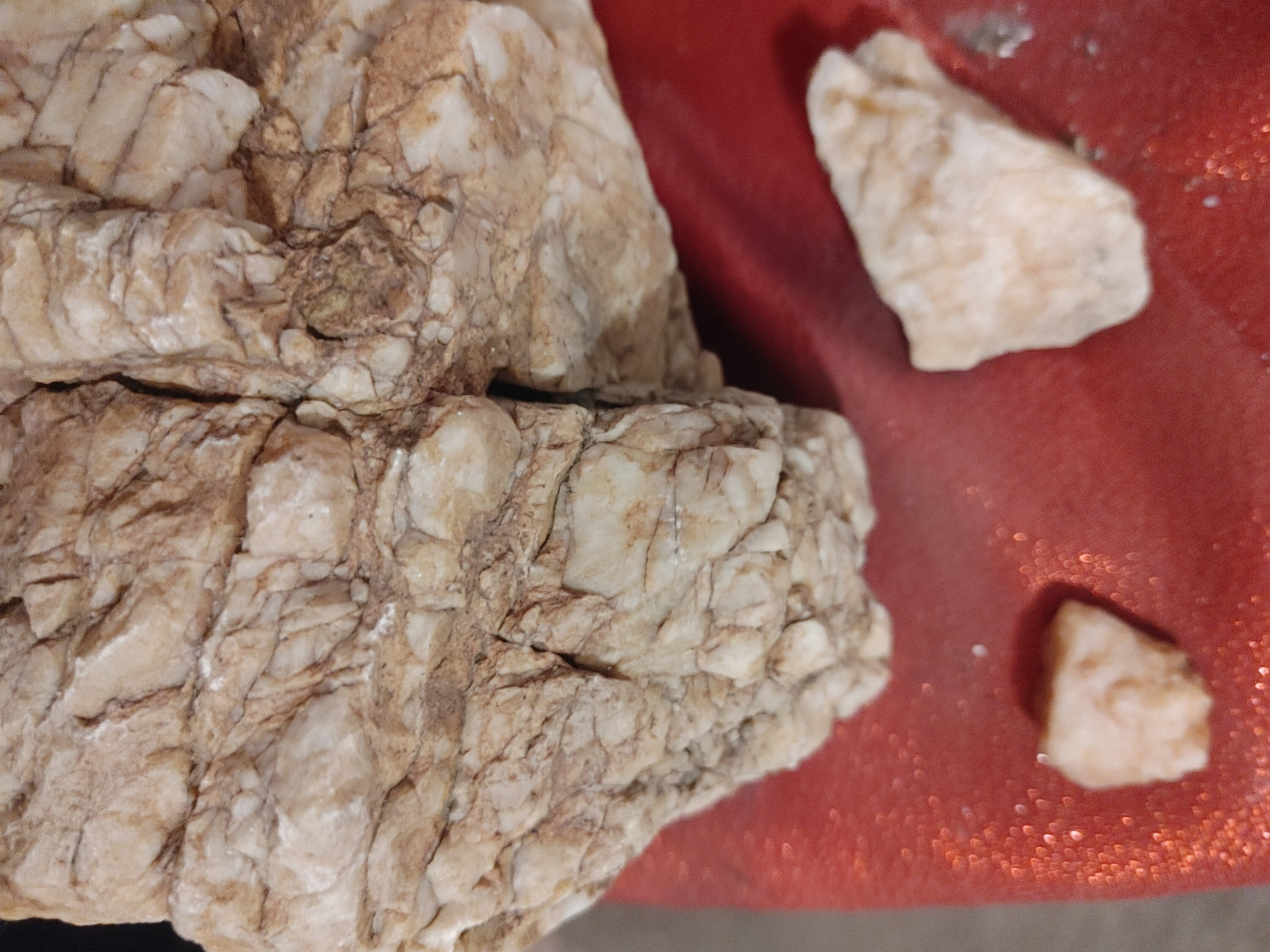 Milky Leopard Quartz Healing Rare Raw Mini Boulder Geo Cluster Yellow ...