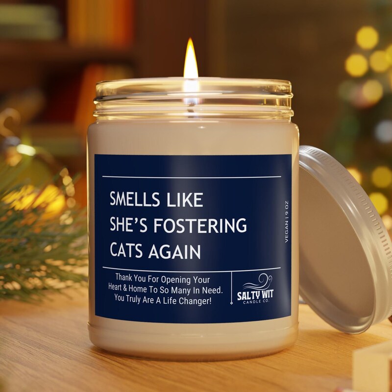 Cat Gifts - 60+ Gift Ideas for 2025