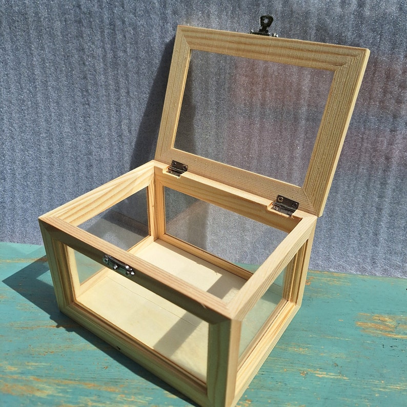 Glass and Wood Display Box With Lid Hinged Wooden Box Vintage Curio ...