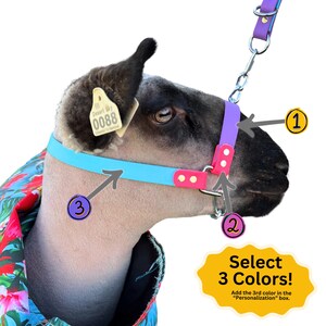 LAMB HALTER | "trio" - Etsy