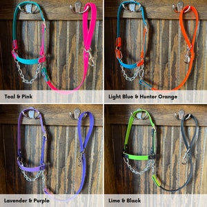 GOAT HALTER | "t3" (two-toned Tab Halter) - Etsy