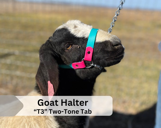 Goat Harness Nylon Web - Etsy