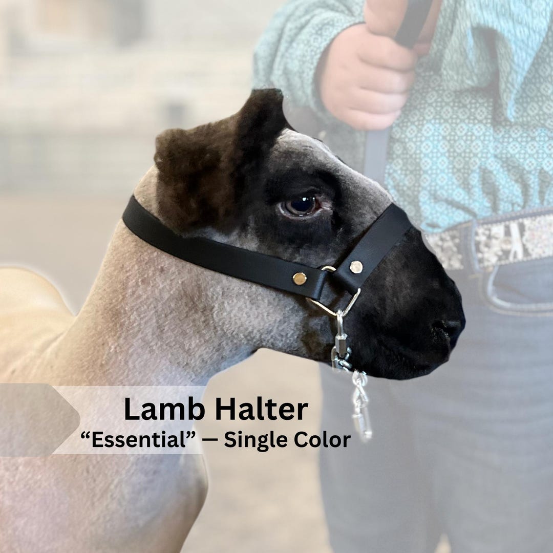 LAMB HALTER | "essential" (single Color)| Stock Show | Show Lamb | - Etsy
