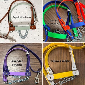 LAMB HALTER | "t3" (two-toned Tab Halter) | Stock Show | Show Lamb | - Etsy