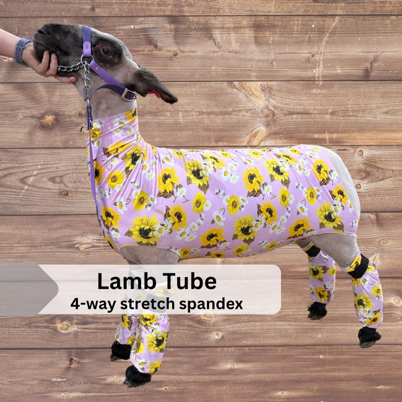 Lamb Tubes | Show Lamb Covers | Show Lambs - Etsy
