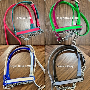 LAMB HALTER | "duo" | Stock Show | Show Lamb | - Etsy