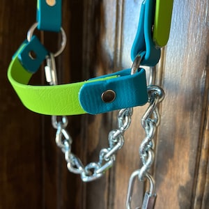 LAMB HALTER t3 two-toned Tab Halter Stock Show Show Lamb - Etsy