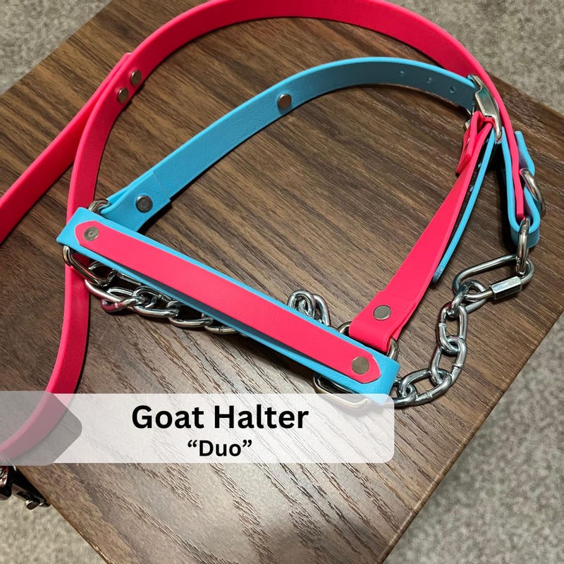 Show Goat - Etsy