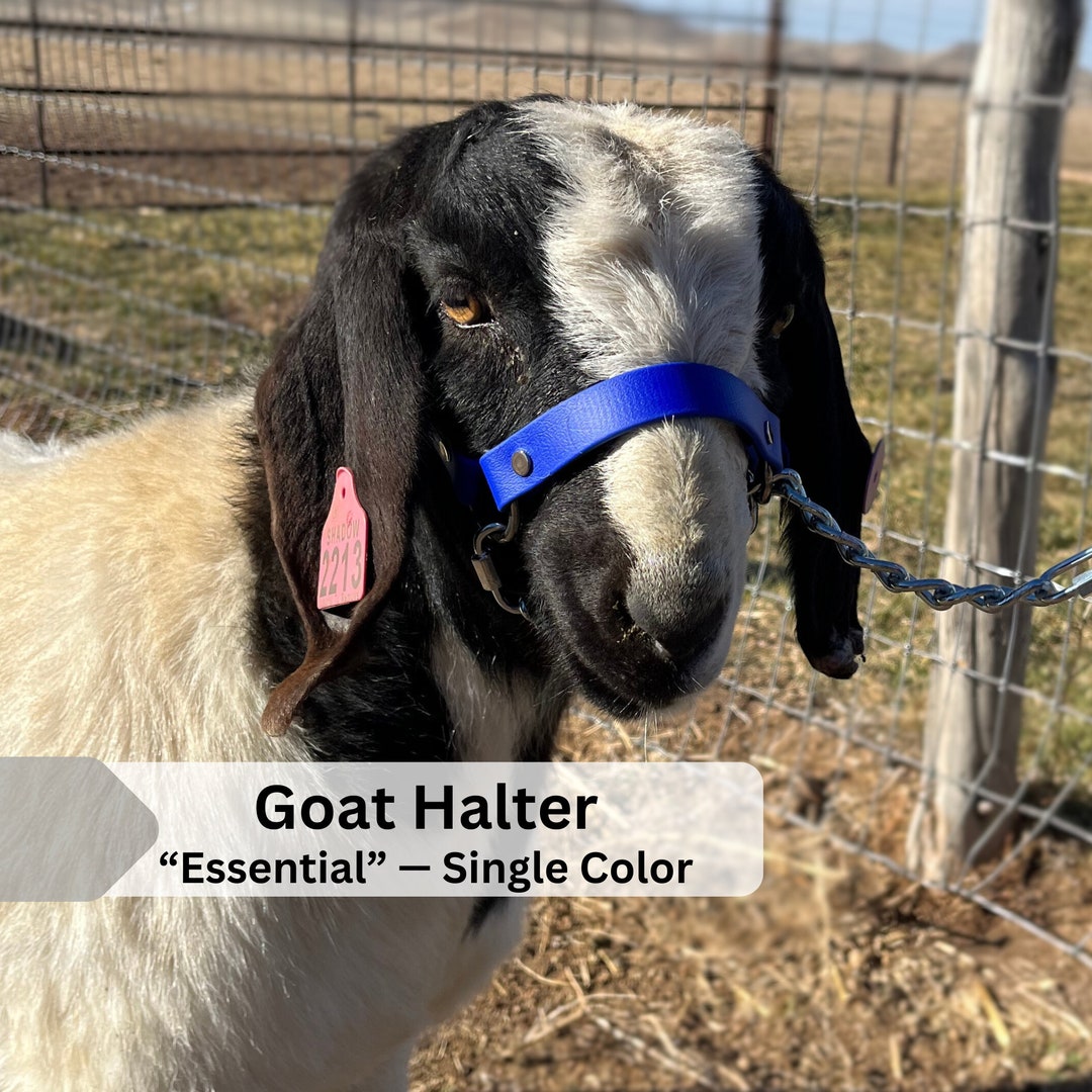 GOAT HALTER | "essential" (single Color) - Etsy