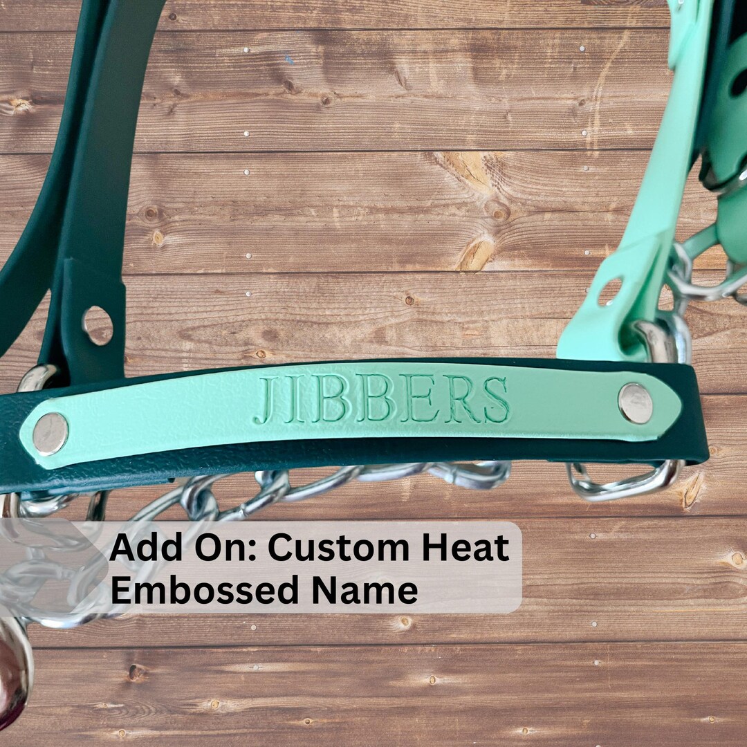 Add On: Custom Heat Embossed Name - Etsy