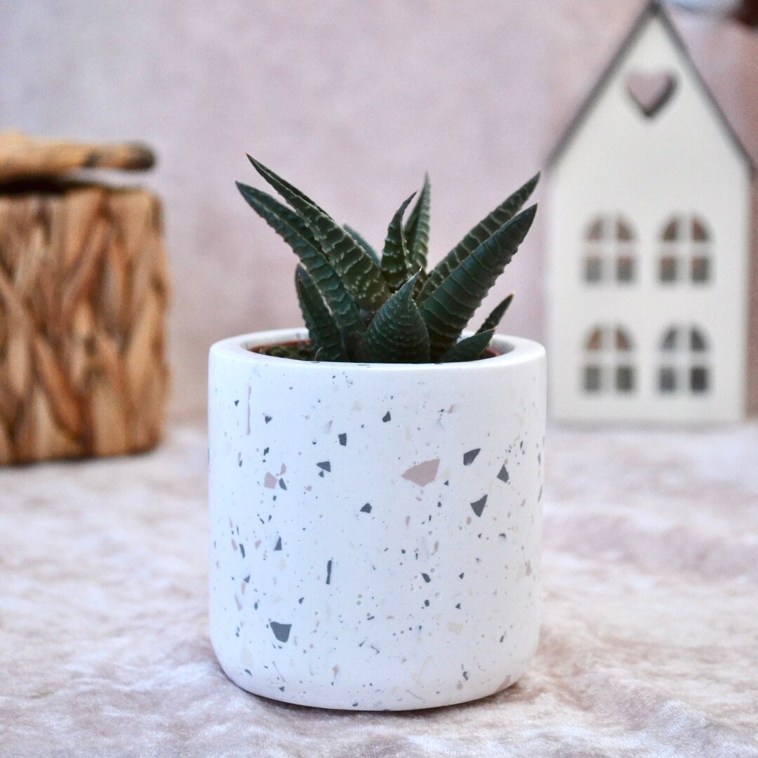 Unique Plant Pot and Plant for Office Desk, Mini Desk Planter and Plant ...