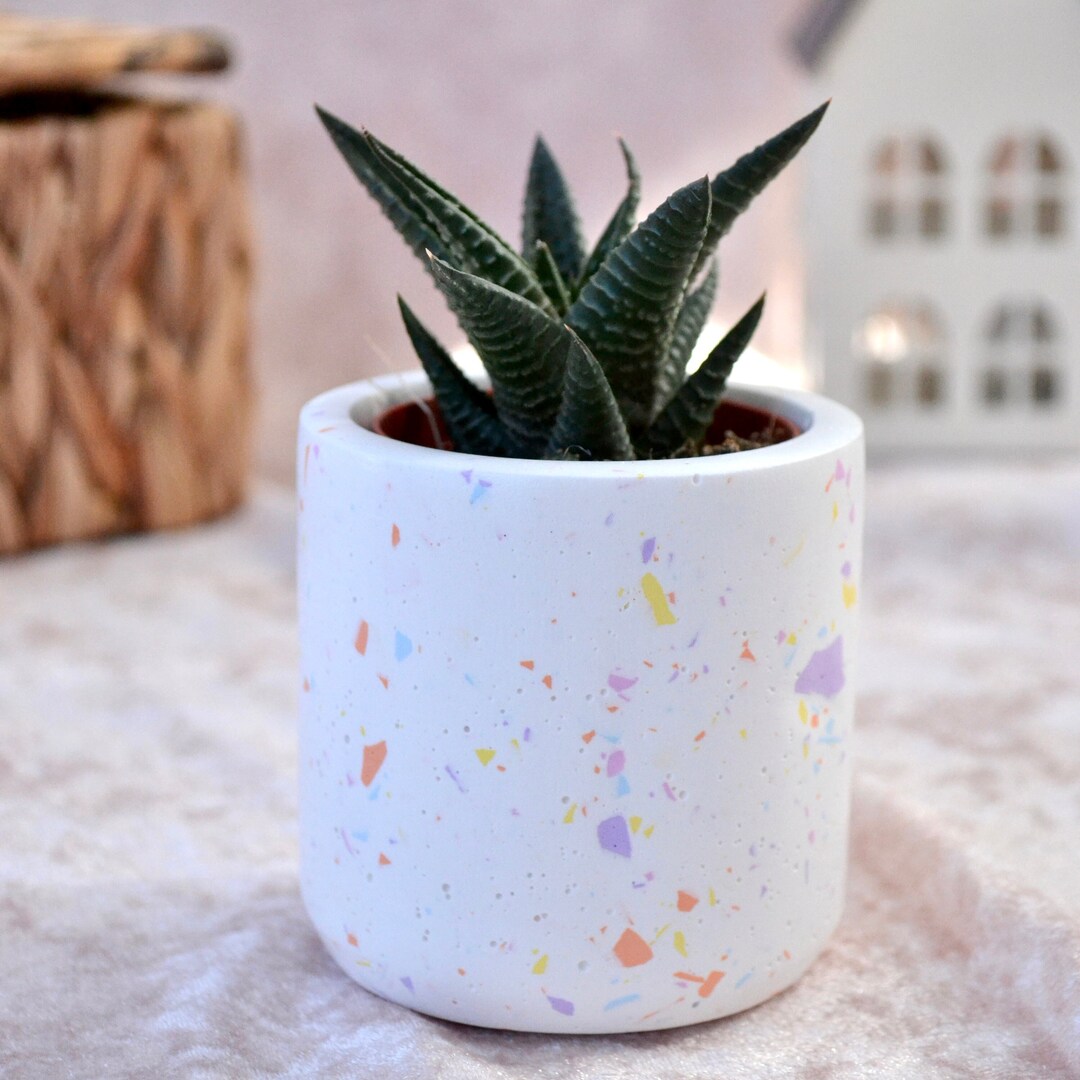 Unique Plant Pot With Plant for Office Desk, Mini Desk Planter and ...