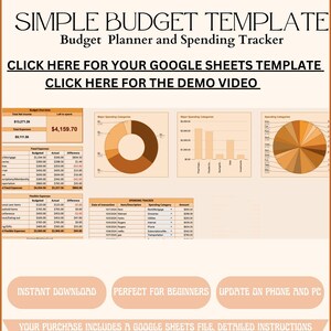 Automated Digital Monthly and Annual Budget and Spending Tracker ...