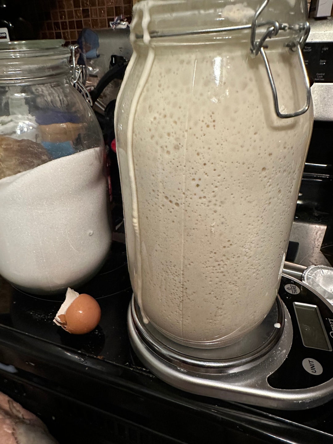 Sourdough Starter - Etsy