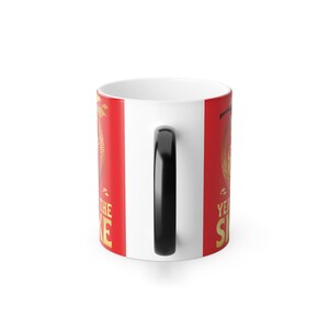 Color Changing Snake Year Mug, Chinese New Year Gift, Animal Zodiac ...