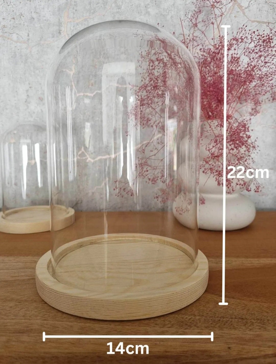 Glass Display Dome Bell Jar Cloche Wooden Base Action Figure Table ...