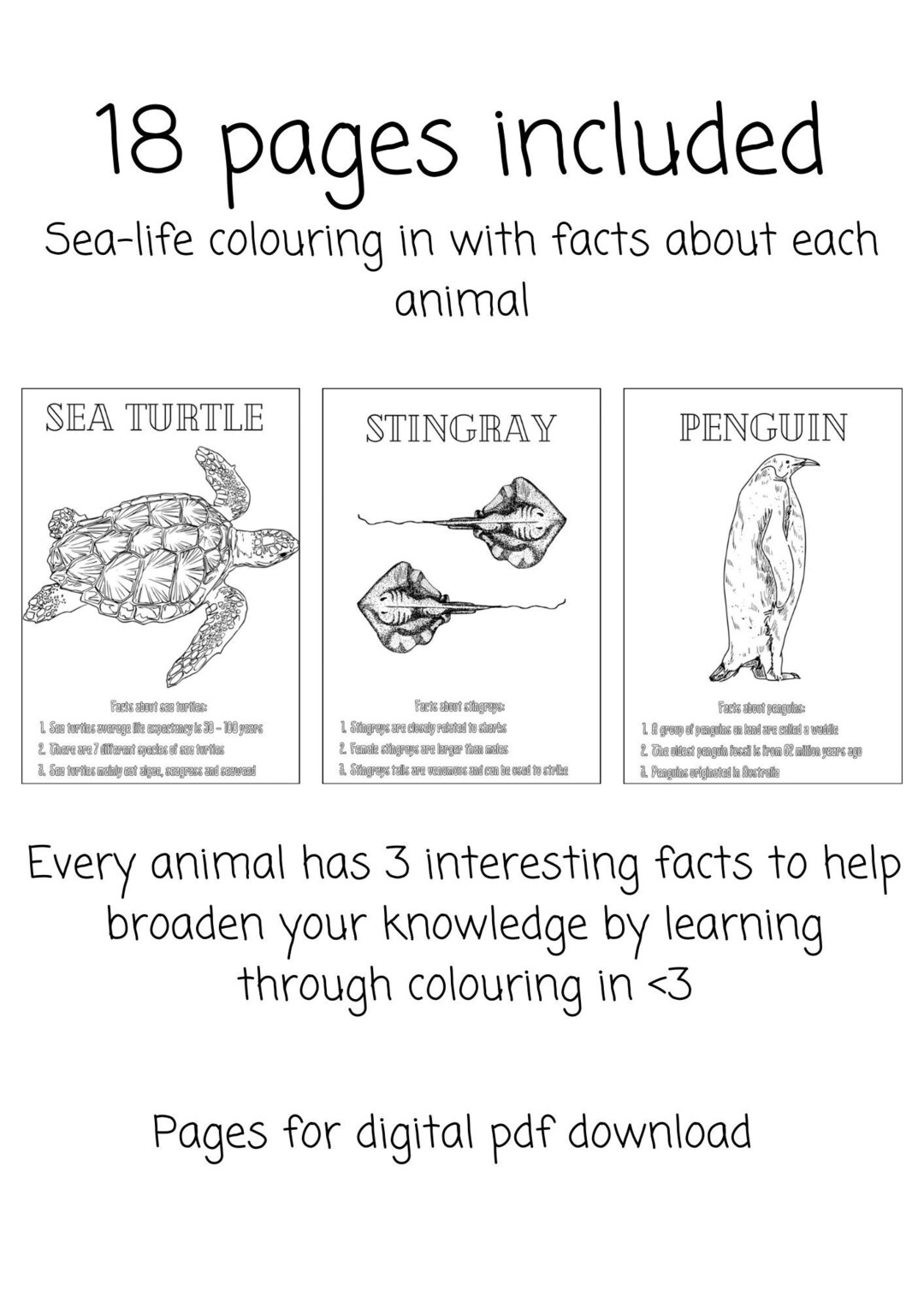 Sea-life Colouring in Pages With Interesting Facts | 18 Pages Included ...