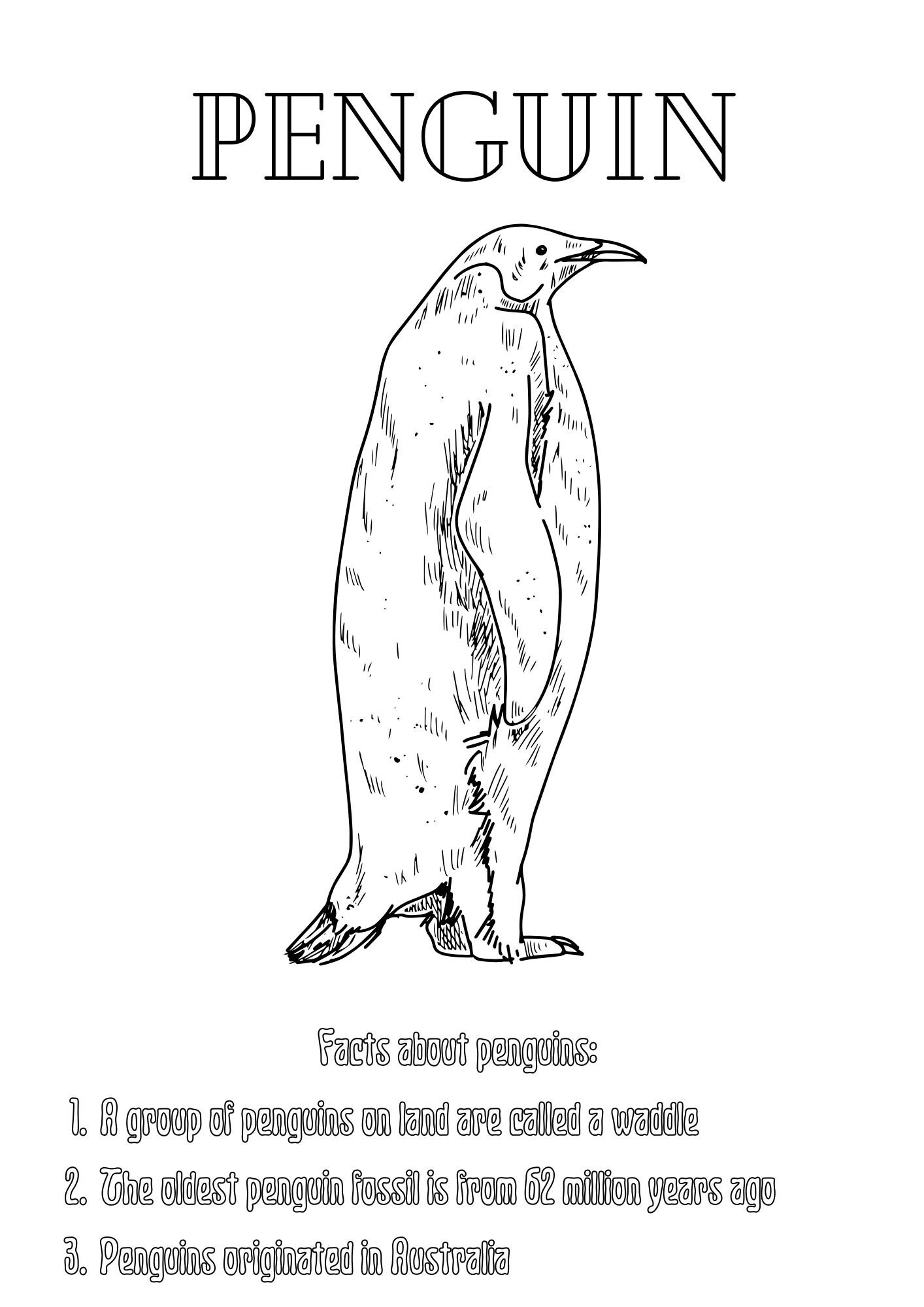 Sea-life Colouring in Pages With Interesting Facts | 18 Pages Included ...