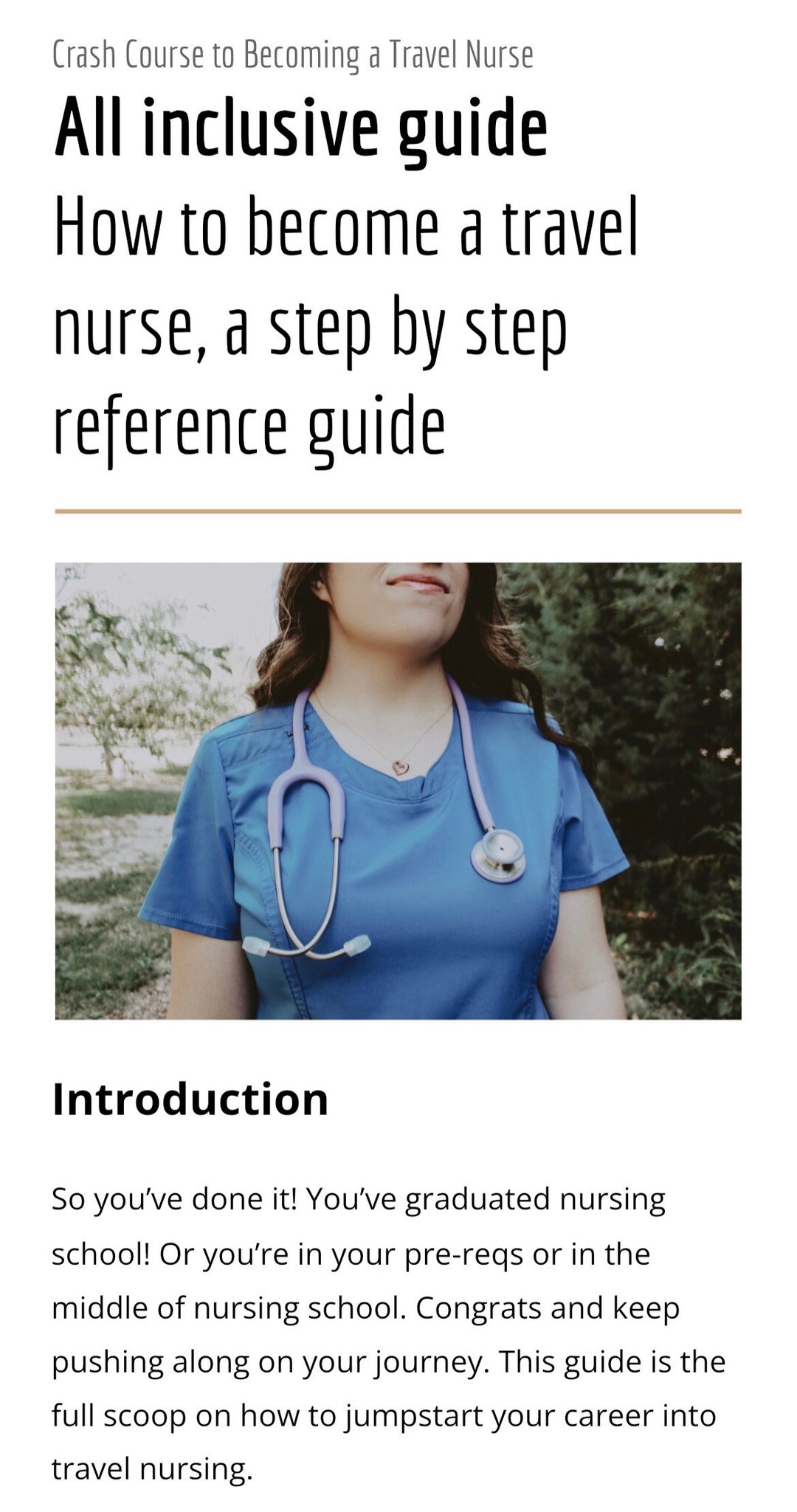 Becoming A Travel Nurse Guidebook - Etsy