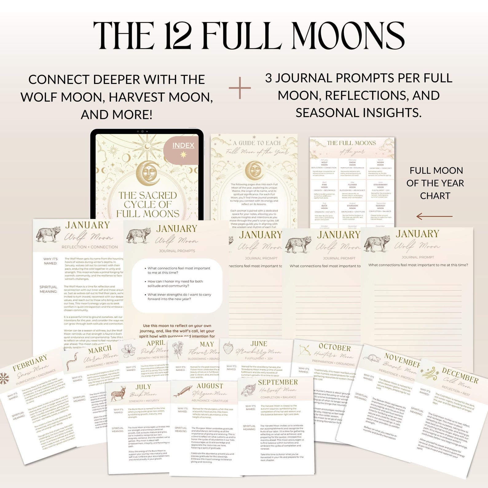 Digital Moon Phases Journal 2025 Moon Calendar, Zodiac, Moon Magic ...