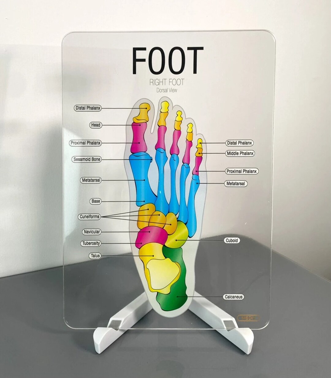 Foot Botox, Aesthetics, Beauty, Teaching, Clinic Décor - Etsy