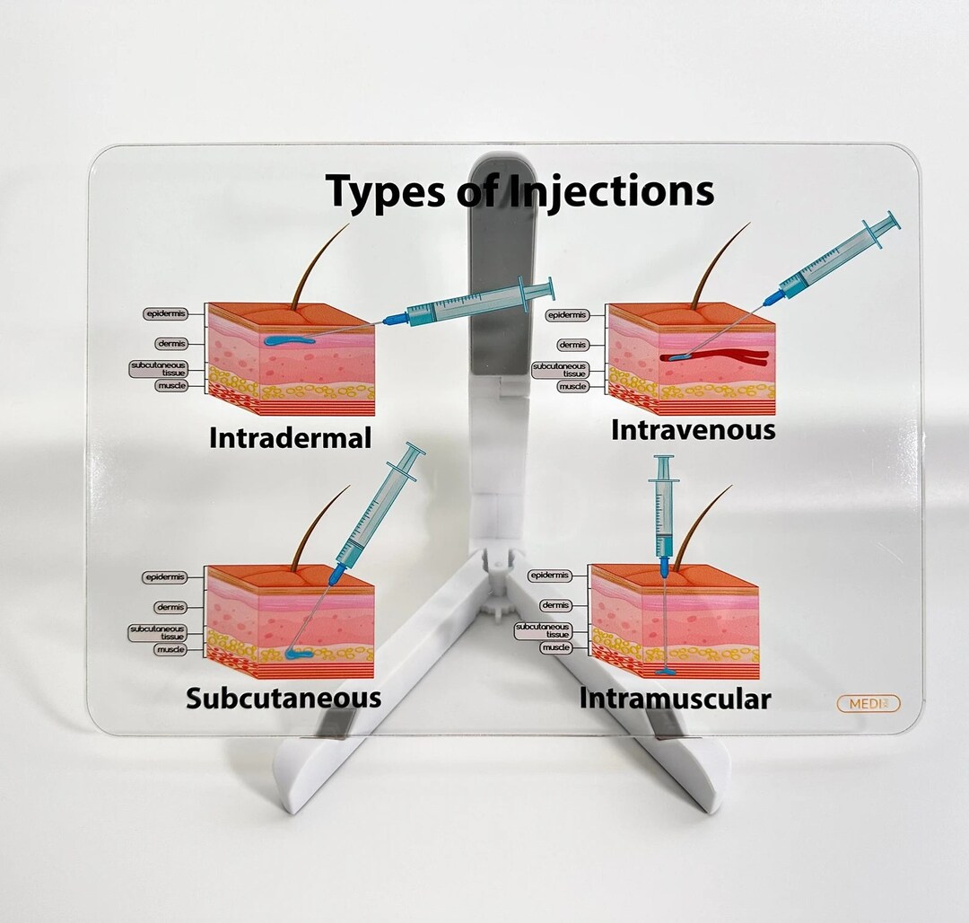 Types of Injections - Botox, Aesthetics, Beauty, Teaching, Clinic Décor ...