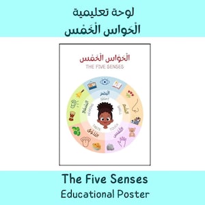 Five Senses Poster Arabic and English Poster - Printable - Arabic ...