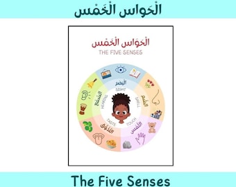 Arabic Shapes Flashcards - Printable - Arabic Education - Preschool ...