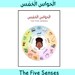Five Senses Poster Arabic and English Poster - Printable - Arabic ...