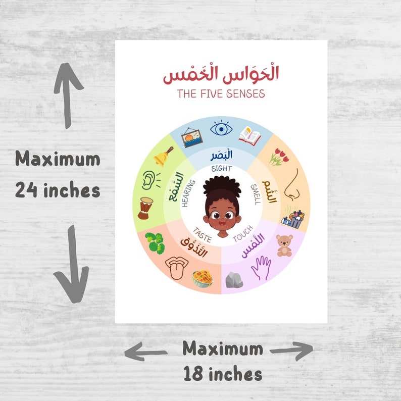 Five Senses Poster Arabic and English Poster - Printable - Arabic ...