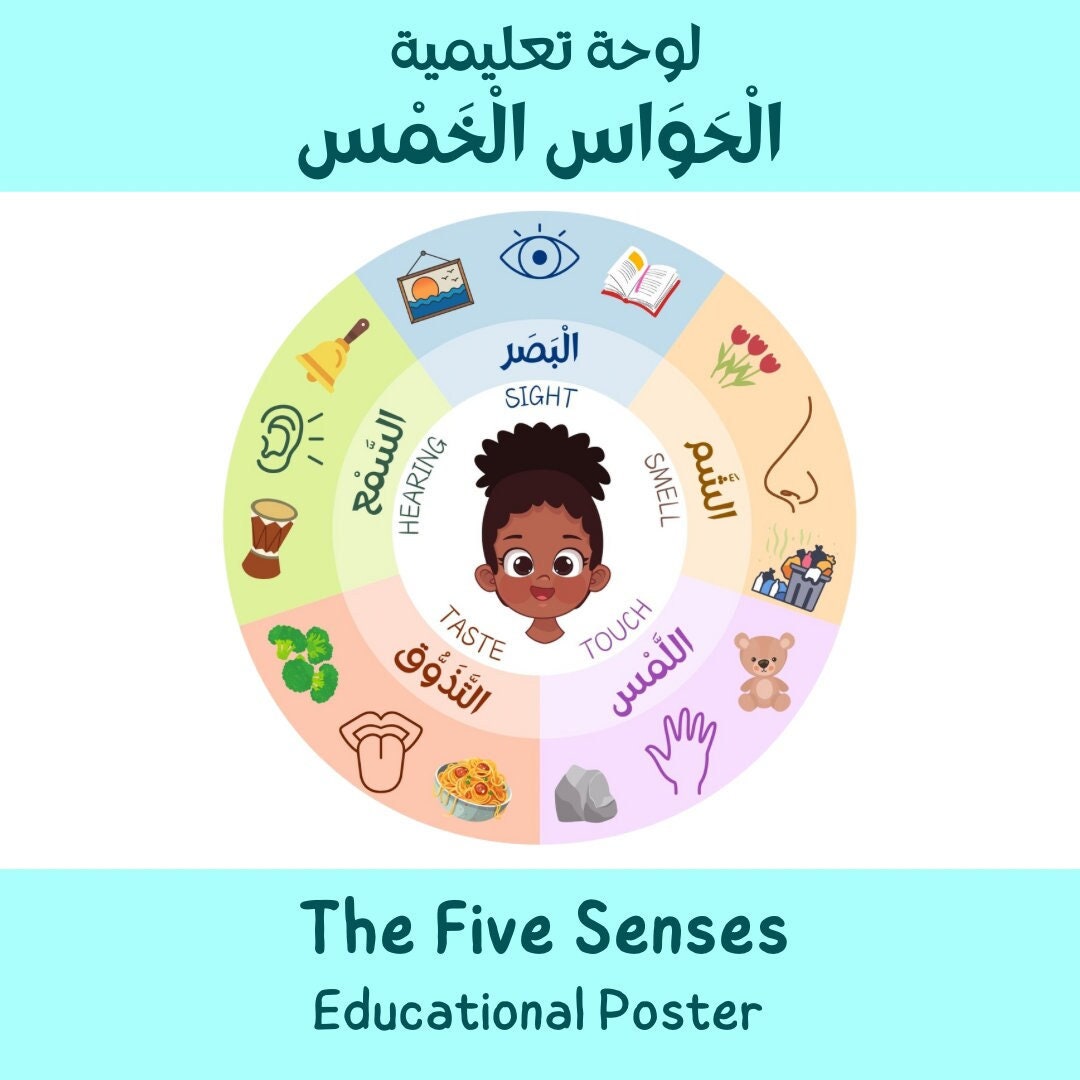 Five Senses Poster Arabic and English Poster Printable Arabic Education ...
