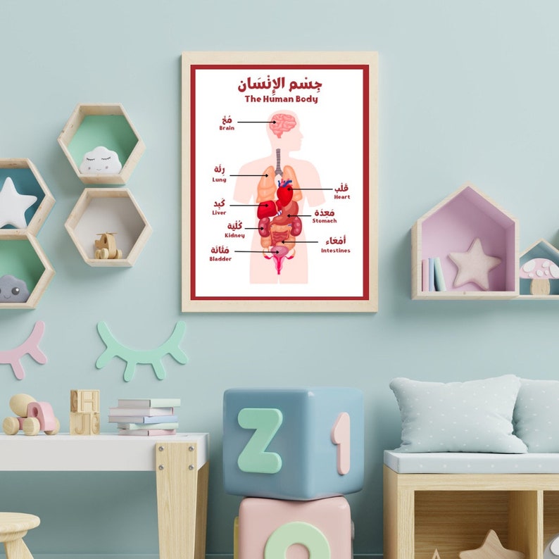 Human Body Poster Arabic and English - Printable - Arabic Education ...
