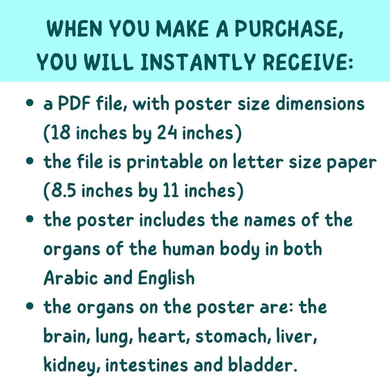Human Body Poster Arabic and English - Printable - Arabic Education ...