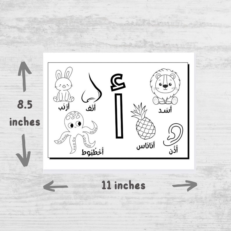 Arabic Alphabet With Words Colouring Pages - Arabic Letters Coloring ...