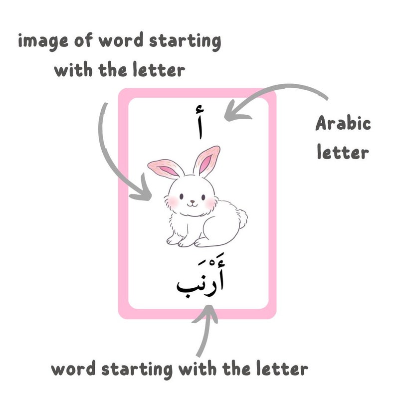 Arabic Alphabet With Words - Flashcards - Arabic Letters - Arabic ...