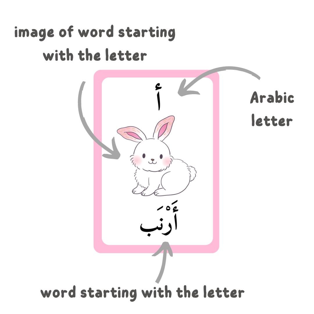 Arabic Alphabet With Words - Flashcards - Arabic Letters - Arabic ...