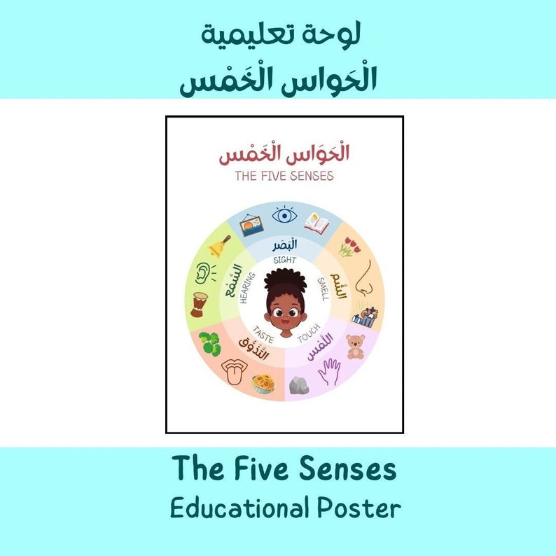 Five Senses Poster Arabic and English Poster - Printable - Arabic ...