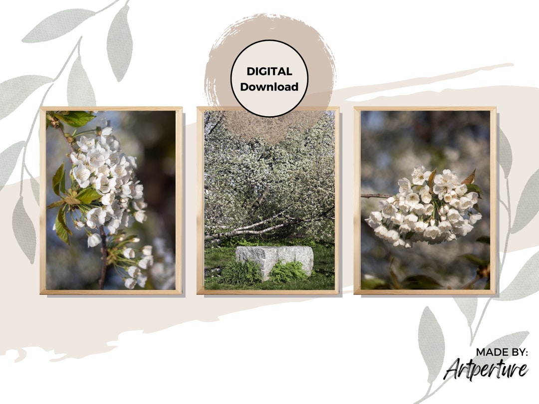 Set of 3 Prints Dangling Flower Decor, Spring Artwork Bloom Tree ...