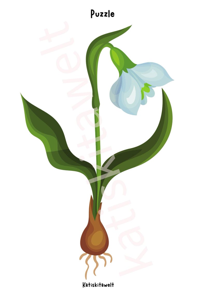 Practical Guide "the Snowdrop" for Daycare Centers, Childminders and ...