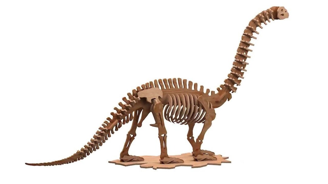 Maple Brontosaurus Skeleton 3D Puzzle – Large Laser Cut Dinosaur Model ...