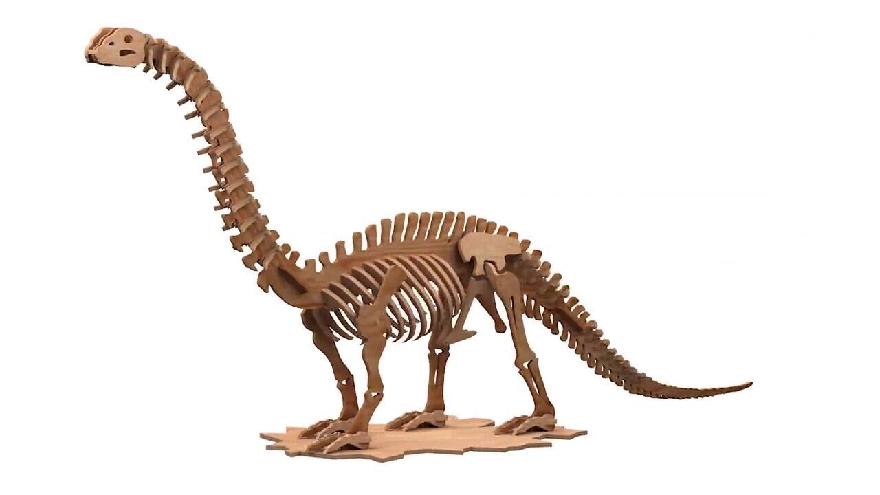 Maple Brontosaurus Skeleton 3D Puzzle – Large Laser Cut Dinosaur Model ...