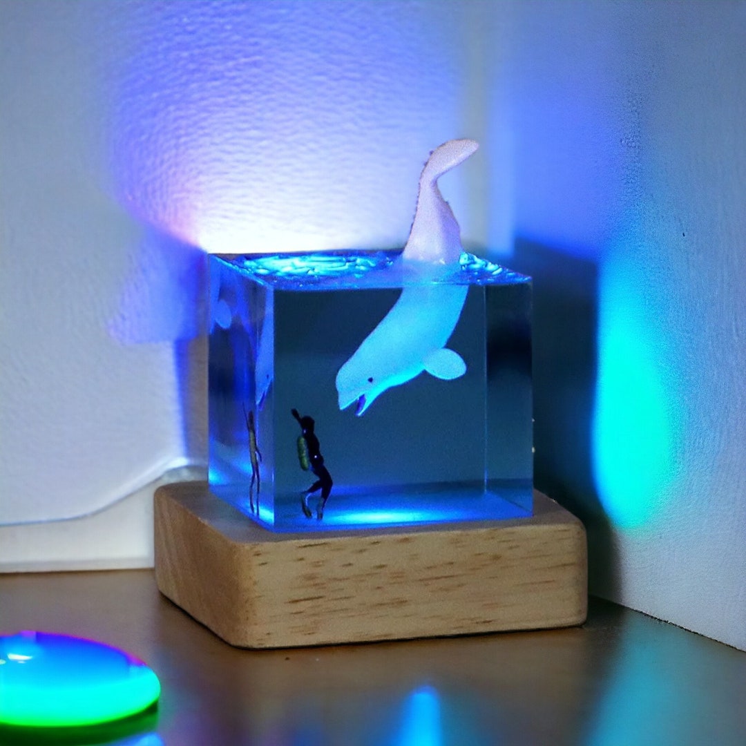 LED Underwater Seal Night Light, Light up Seal Night Light, LED Seal ...
