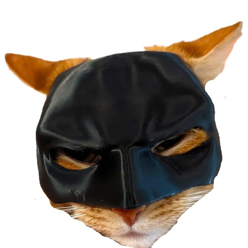 Cat Mask - Etsy