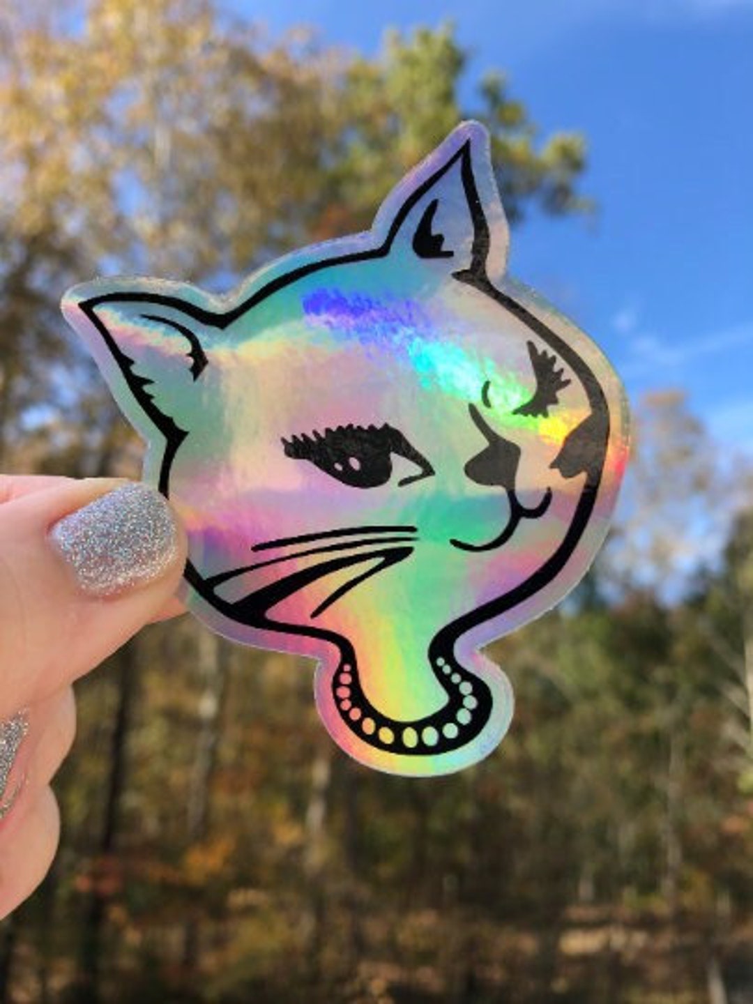 Holographic Rainbow Retro Winking Cat Sticker Black Outline - Etsy