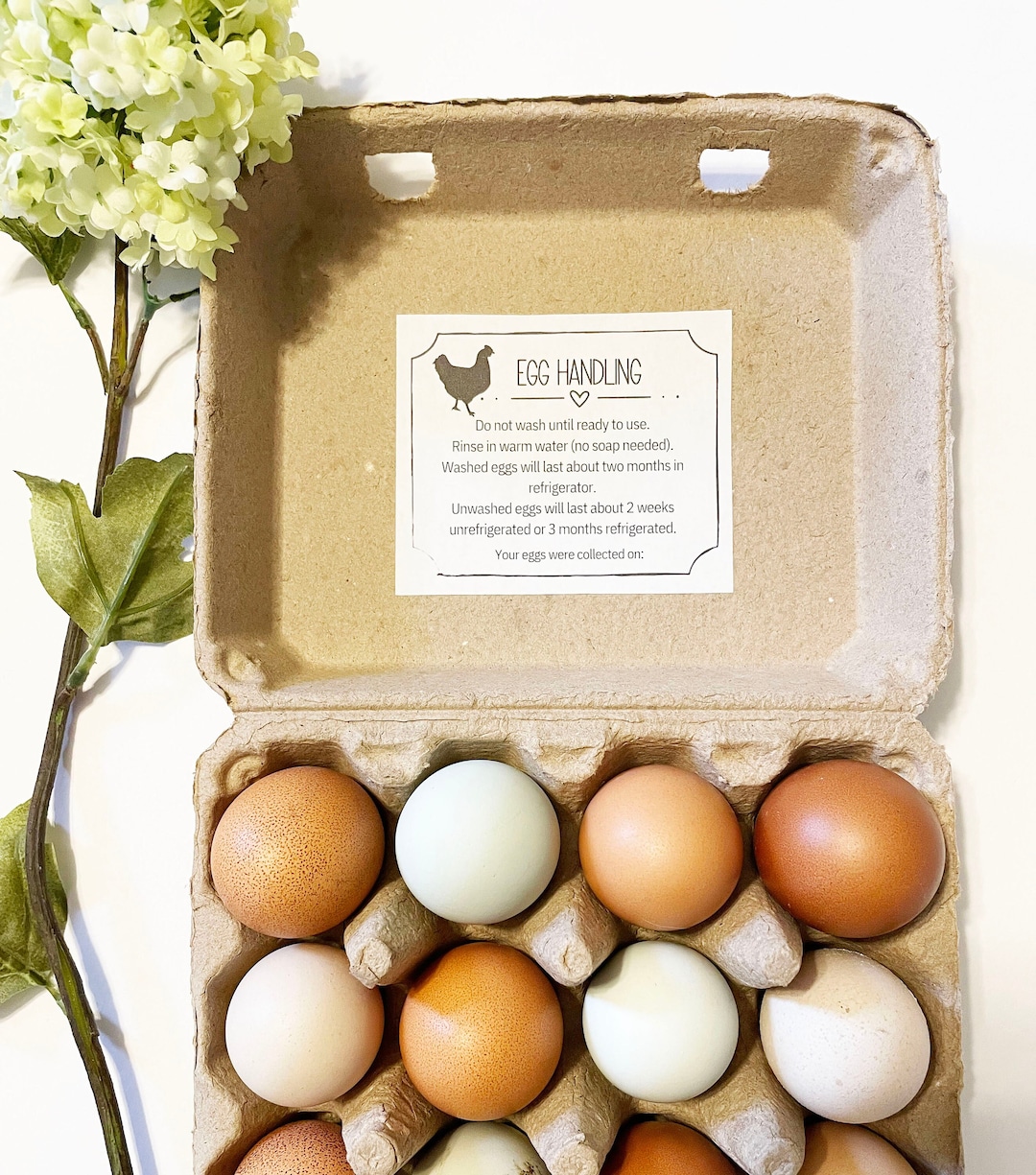 Printable Egg Carton Labels | Farm Fresh Eggs | Uneditable Digital ...