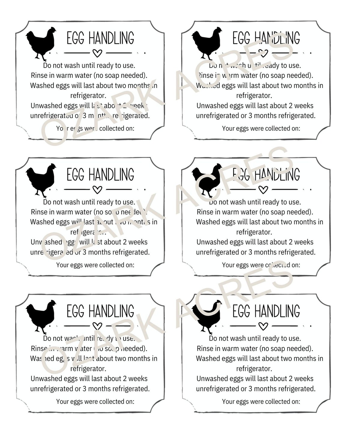 Custom Egg Handling Stickers Egg Label Egg Carton Labels Farmhouse ...