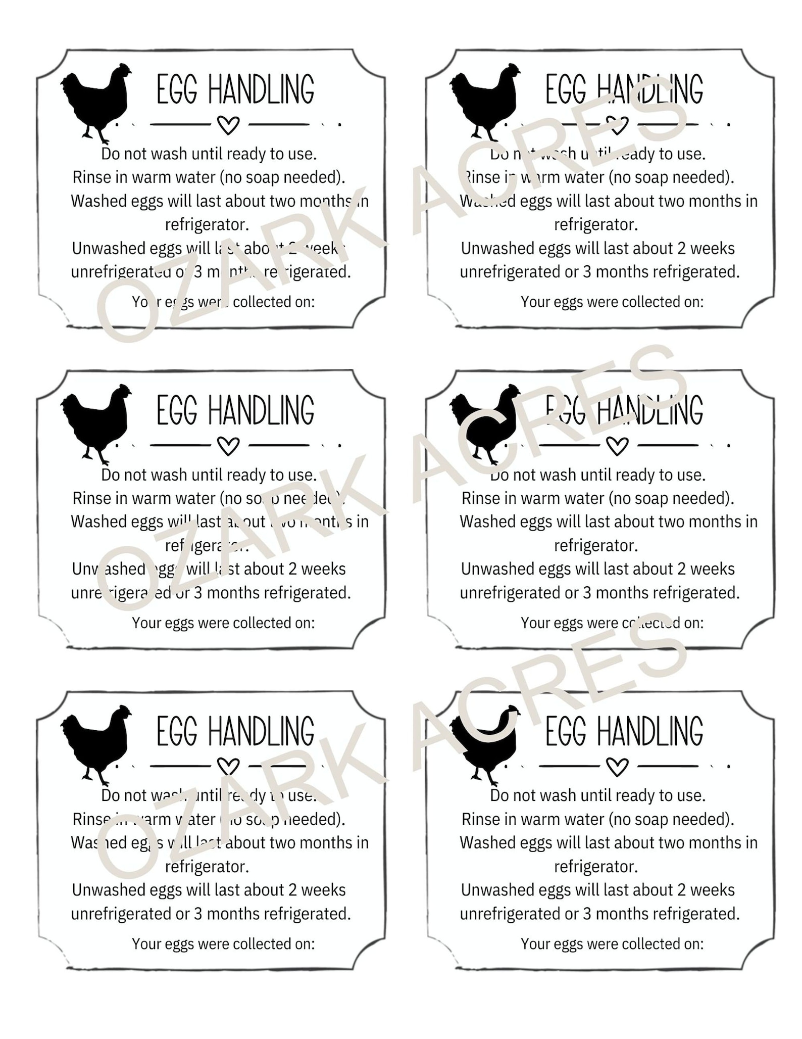 Custom Egg Handling Stickers Egg Label Egg Carton Labels Farmhouse ...